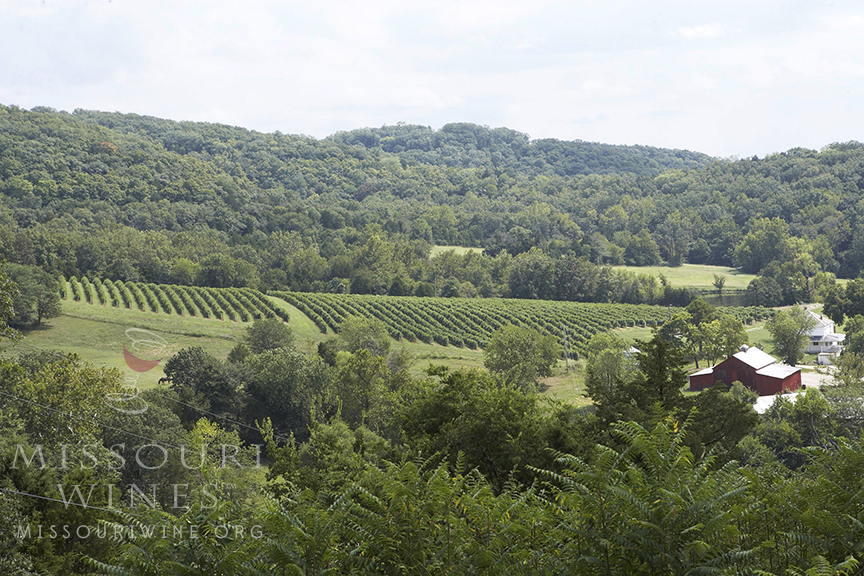 Photo Galleries | MO Wines